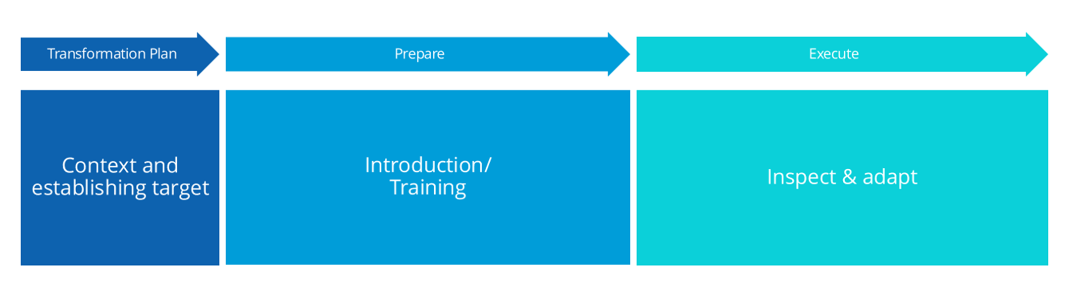 Agile Transformation Services