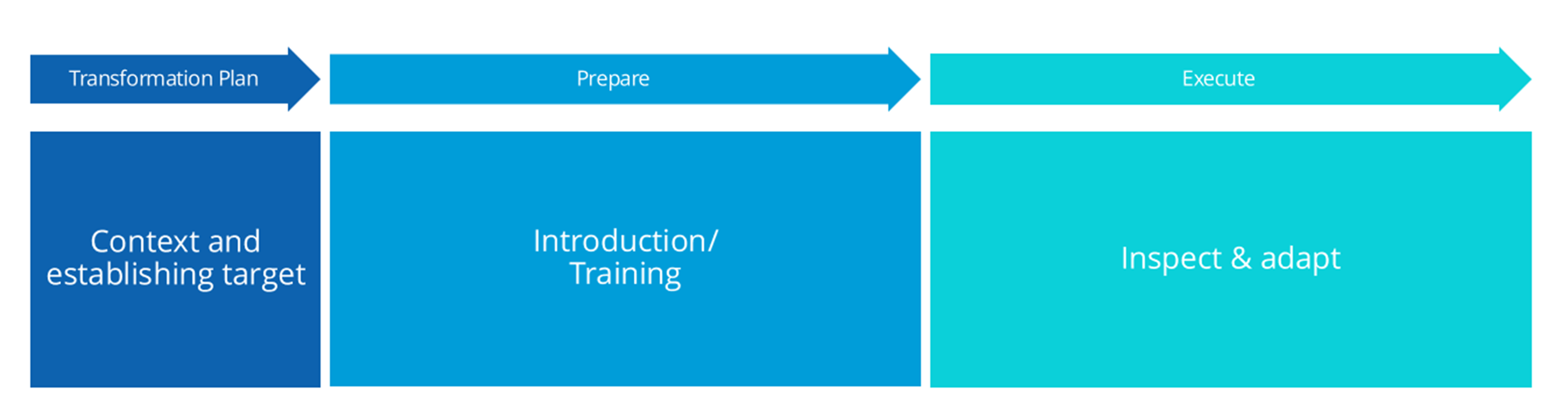 Agile Transformation Services